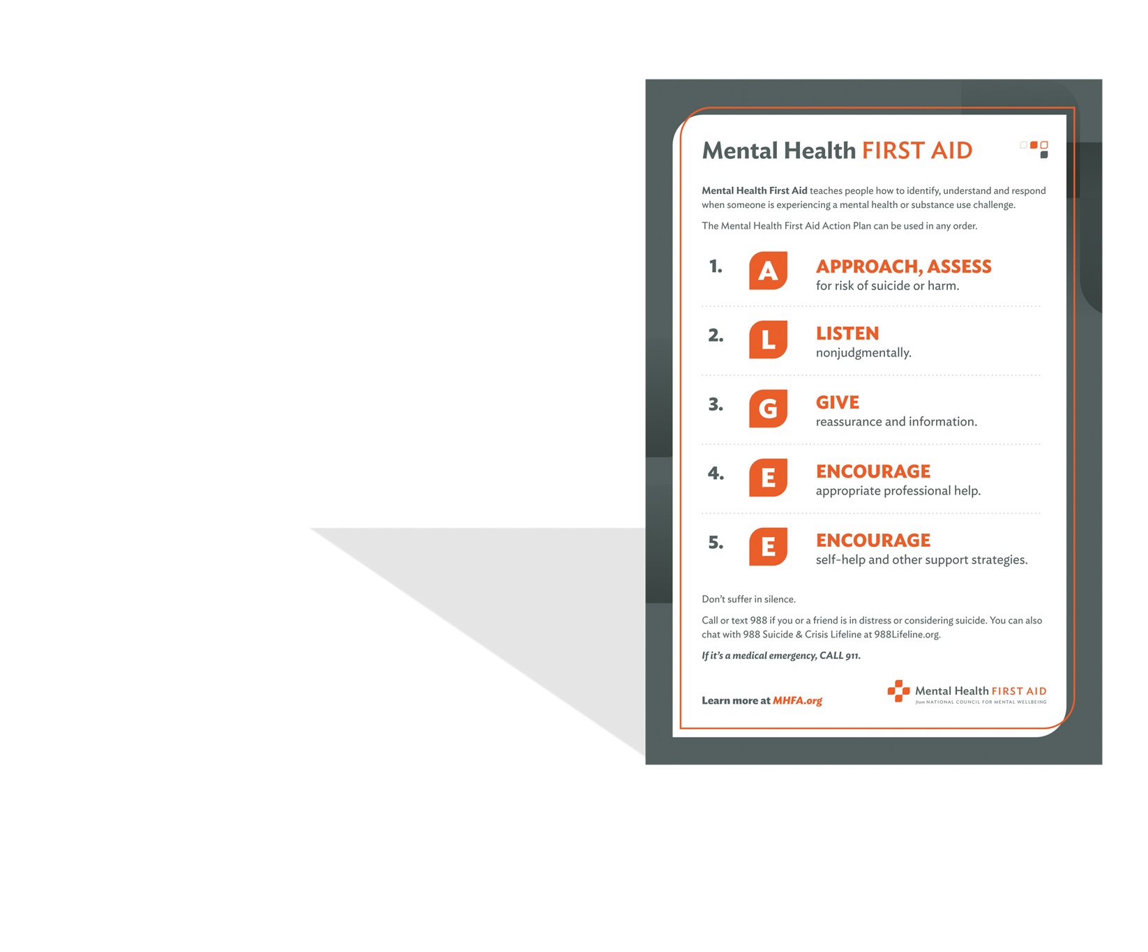 Mental Health First Aid Action Plan Poster – Mental Health First Aid USA