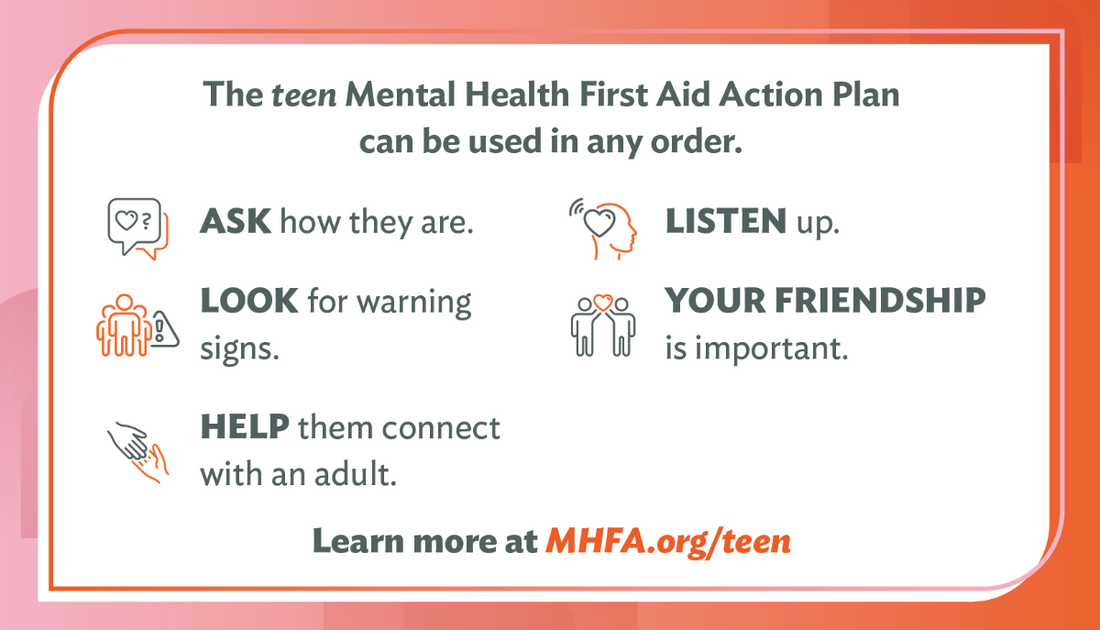 tMHFA Action Plan Wallet Card – Mental Health First Aid USA